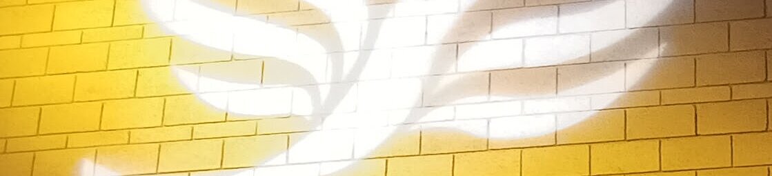 Liberty Statue - Leicester Liberal Democrats